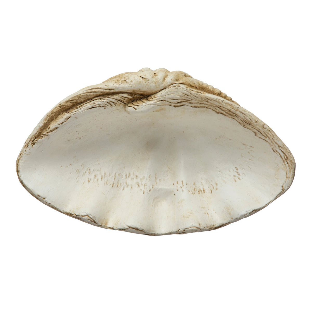 Magnesia Clamshell Bowl | Southern Palms Furniture & Decor